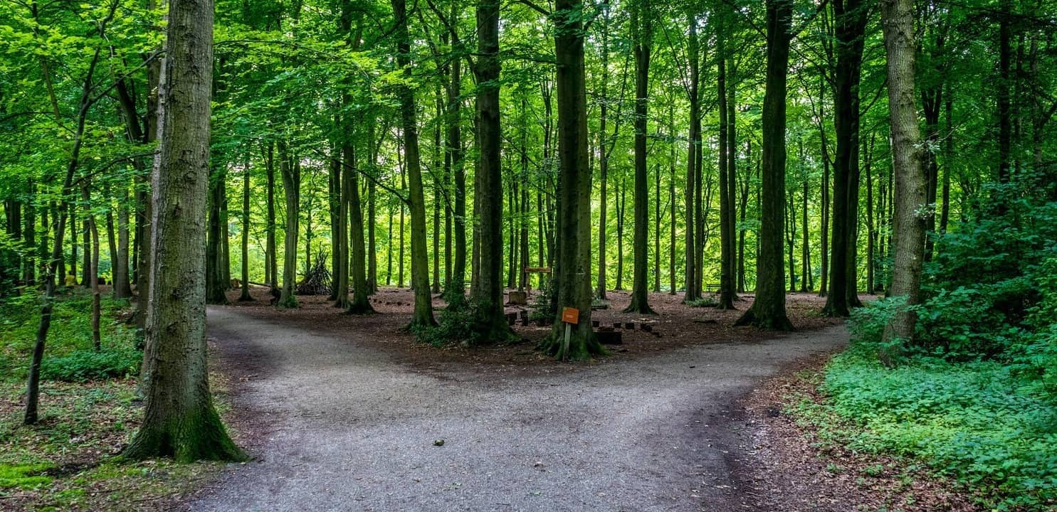 decision making skills