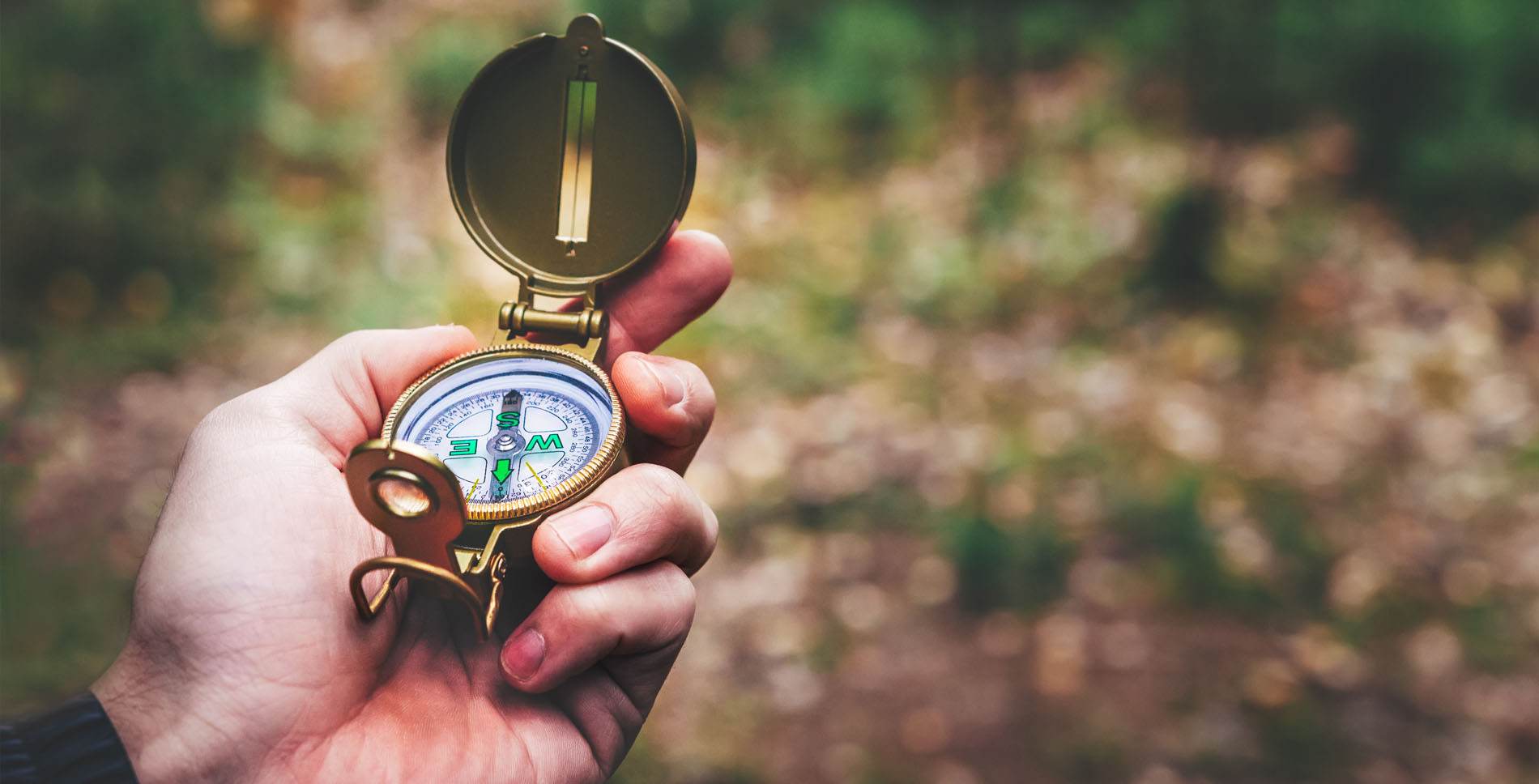 The Ultimate Guide to Assessing Your EHS Program - HSI