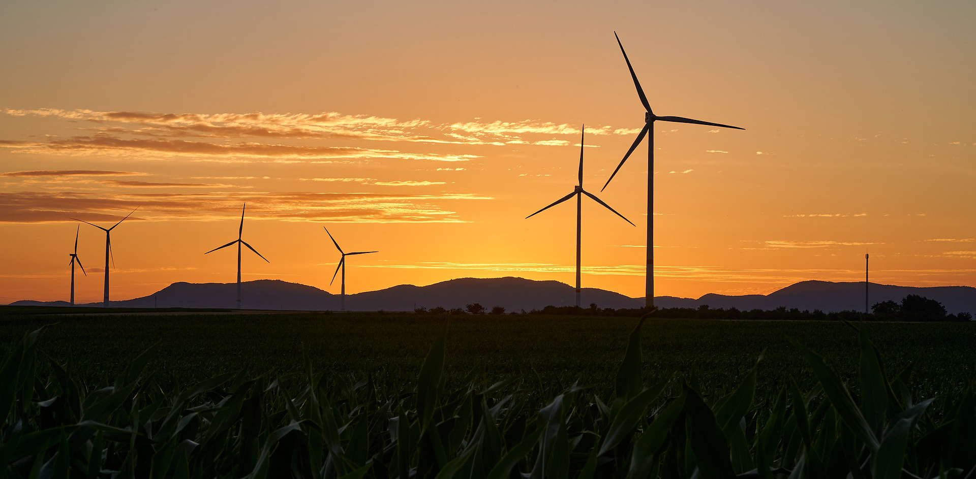 Understanding the Proposed IBR Scope Expansion - HSI