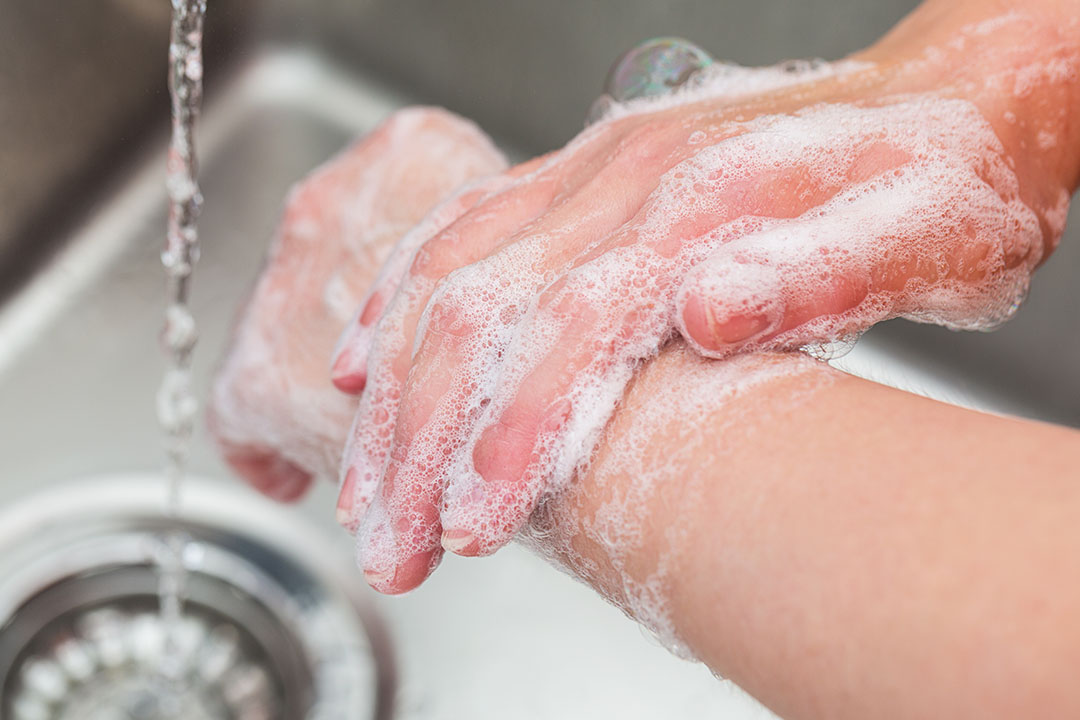 Proper Hand Hygiene and Handwashing in Food Manufacturing - HSI