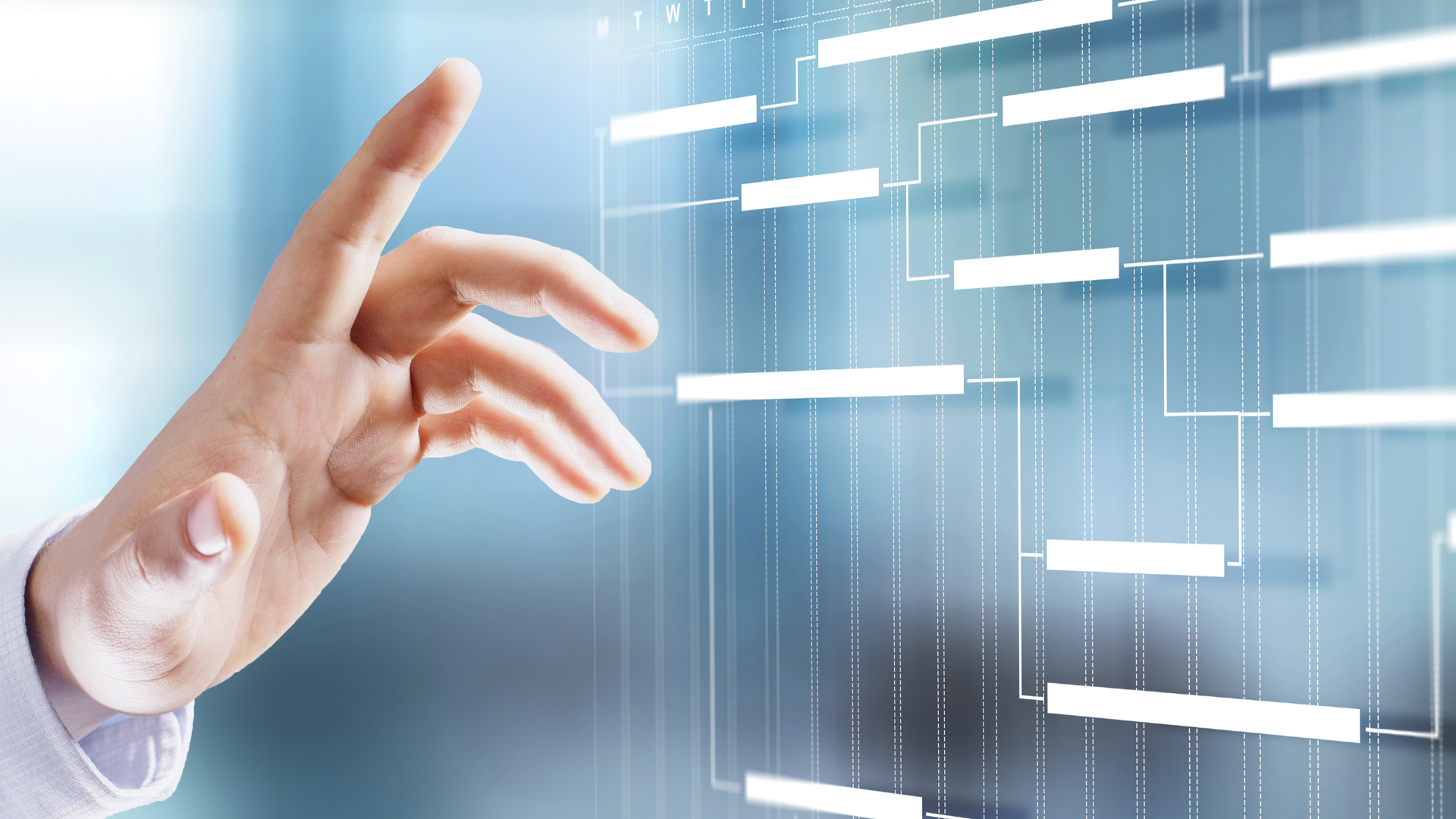 Project Management Overview - HSI