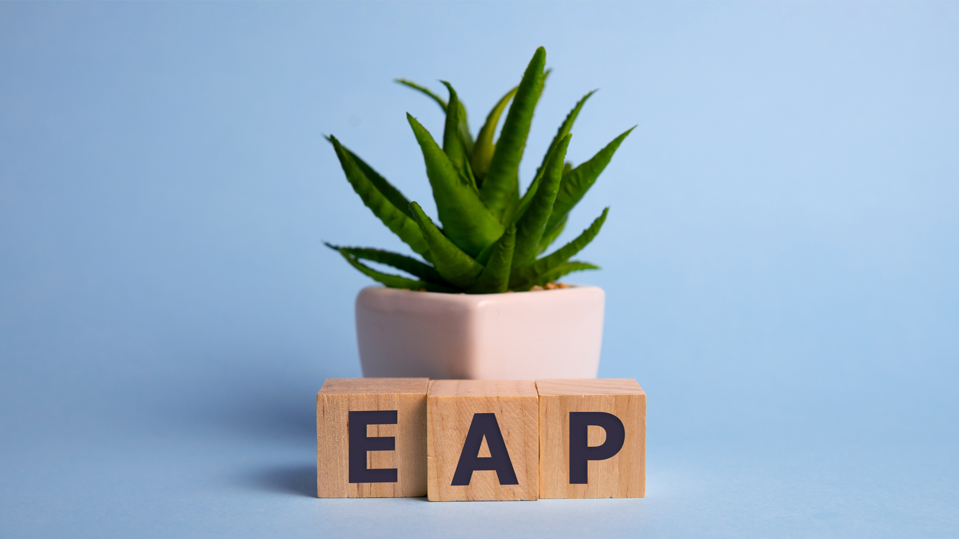 Know Your EAP: Using Your EAP - HSI