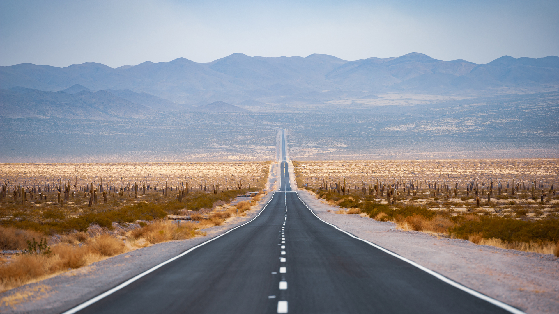Distance Selling: How to Influence Over the Phone - HSI