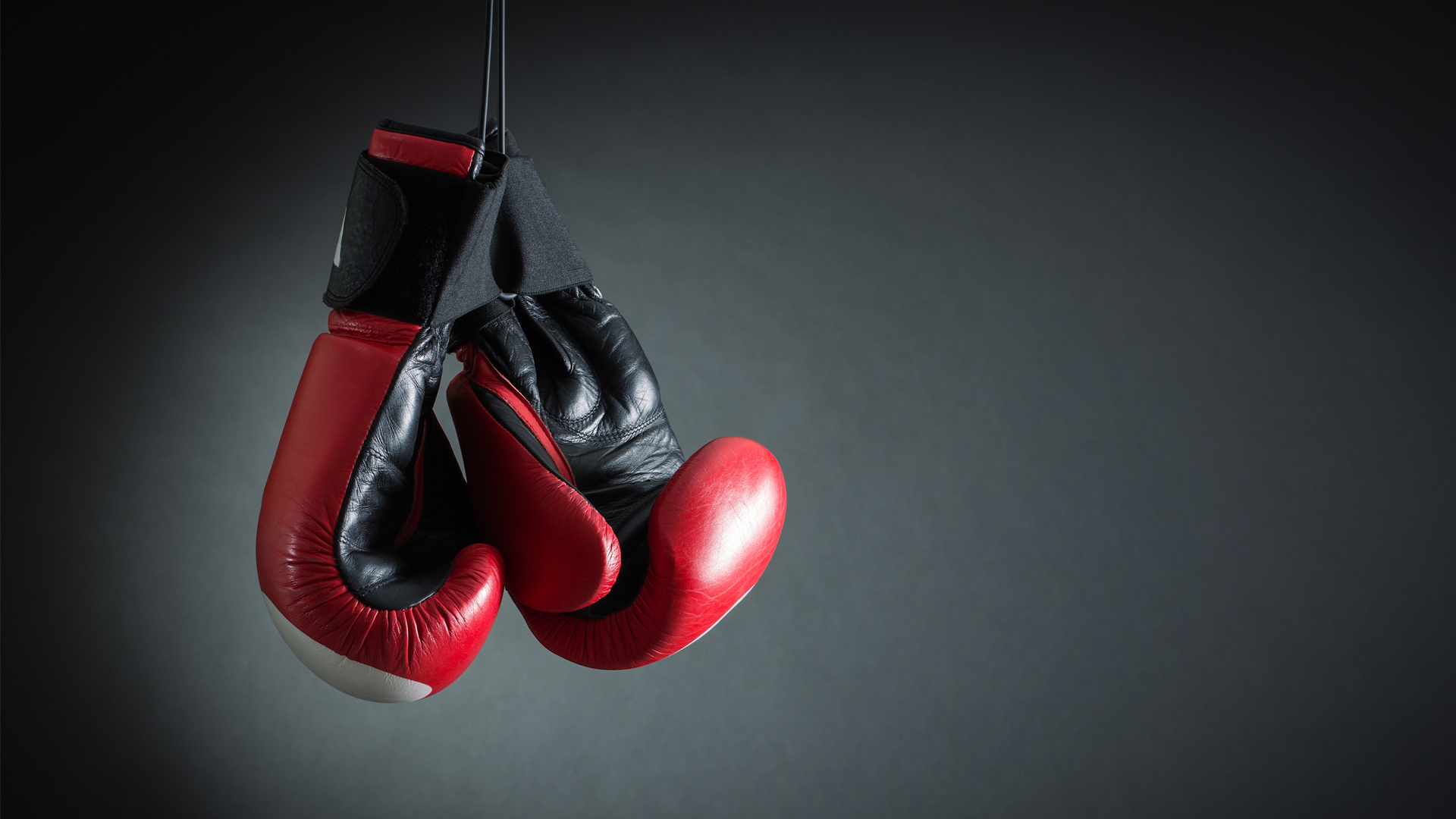 Fighting for Your Team - HSI