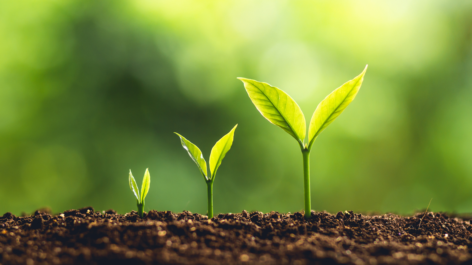 Managing Enterprise Accounts: Introduction - HSI