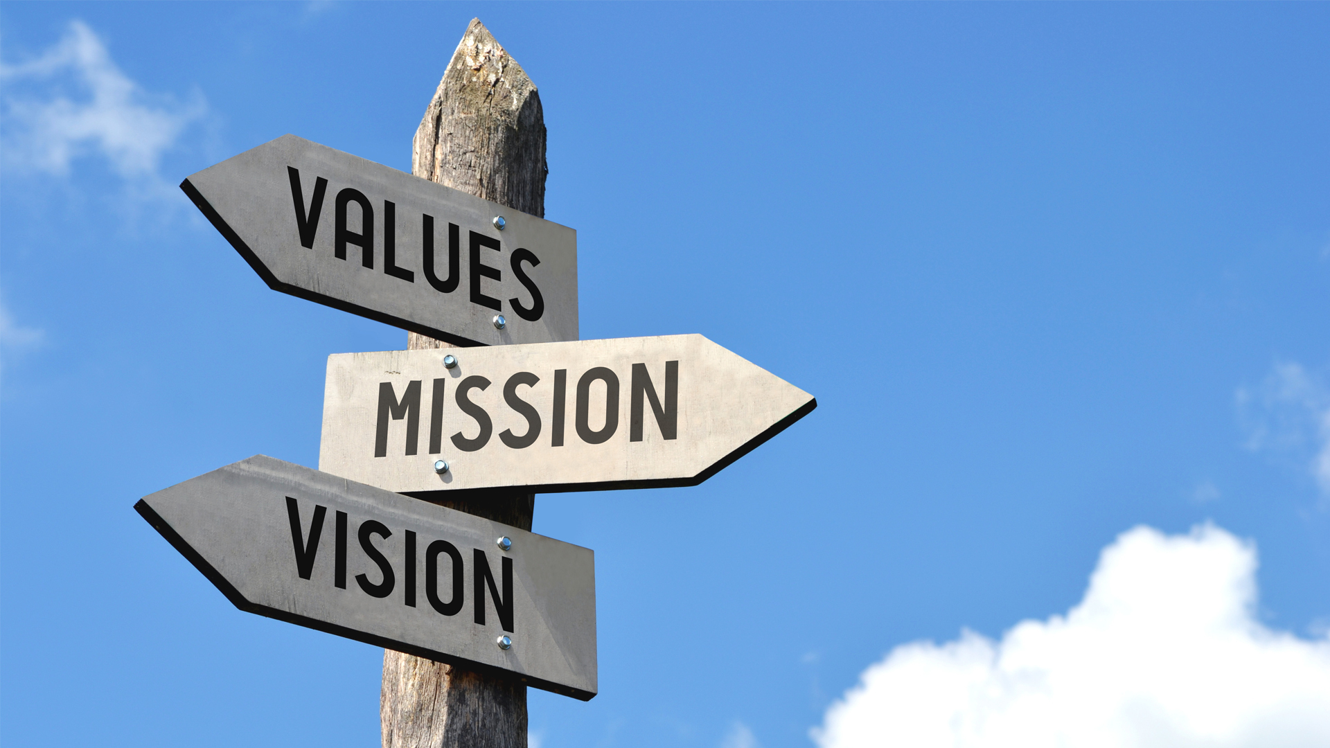 Mission, Vision, and Values: 01. Mission Statements - HSI