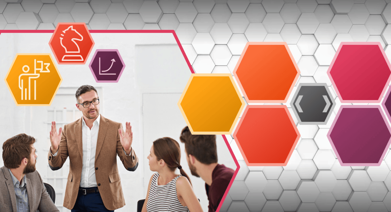 Using the Baldrige Excellence Framework for Business Success - HSI