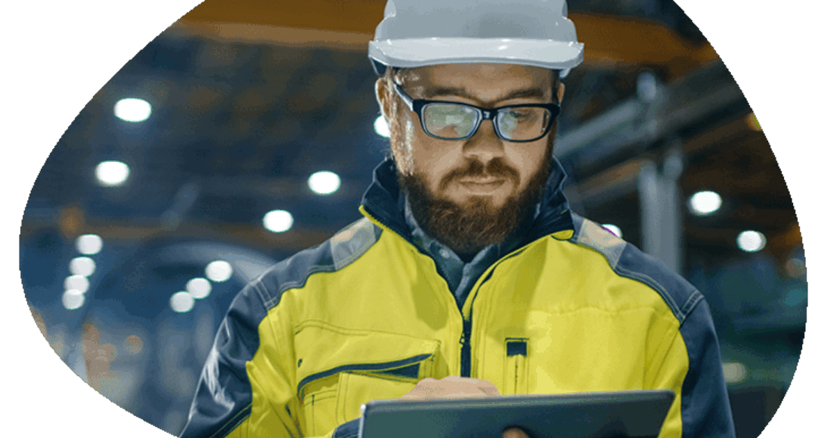 Strategize, Evaluate, and Safeguard Against Risks - HSI